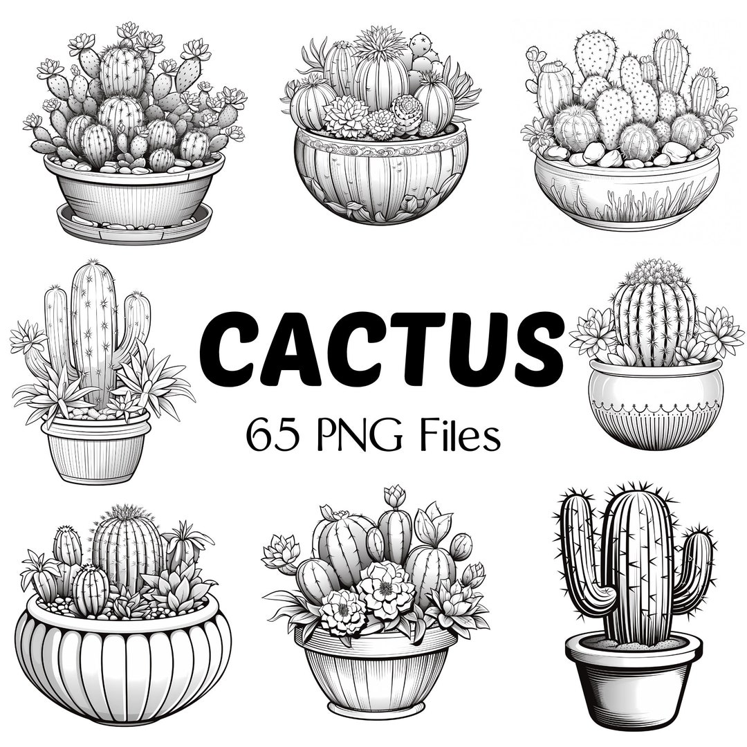 Botanical PNG | 65 Cactus Png | Cactus Pot PNG | Cacti Clipart | Doodle ...