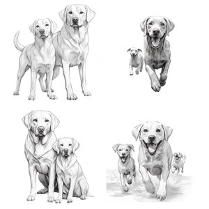 Procreate Labrador Retriever Dog Animals Stamps | 100+ Dogs Procreate ...