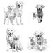 Procreate Labrador Retriever Dog Animals Stamps | 100+ Dogs Procreate ...