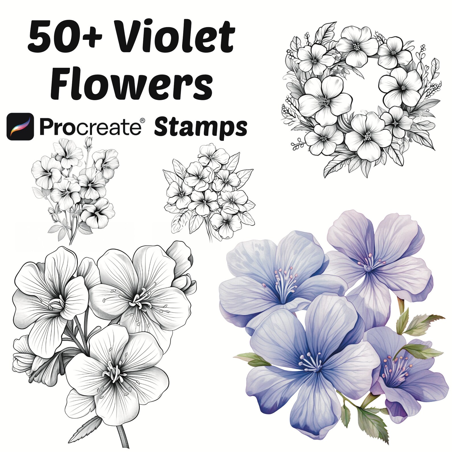 Procreate Violet Flower Stamps | 50+ Violet Flower Procreate Brushes ...
