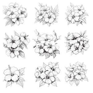 Procreate Hibiscus Flower Stamps | 100+ Hibiscus Flower Procreate ...