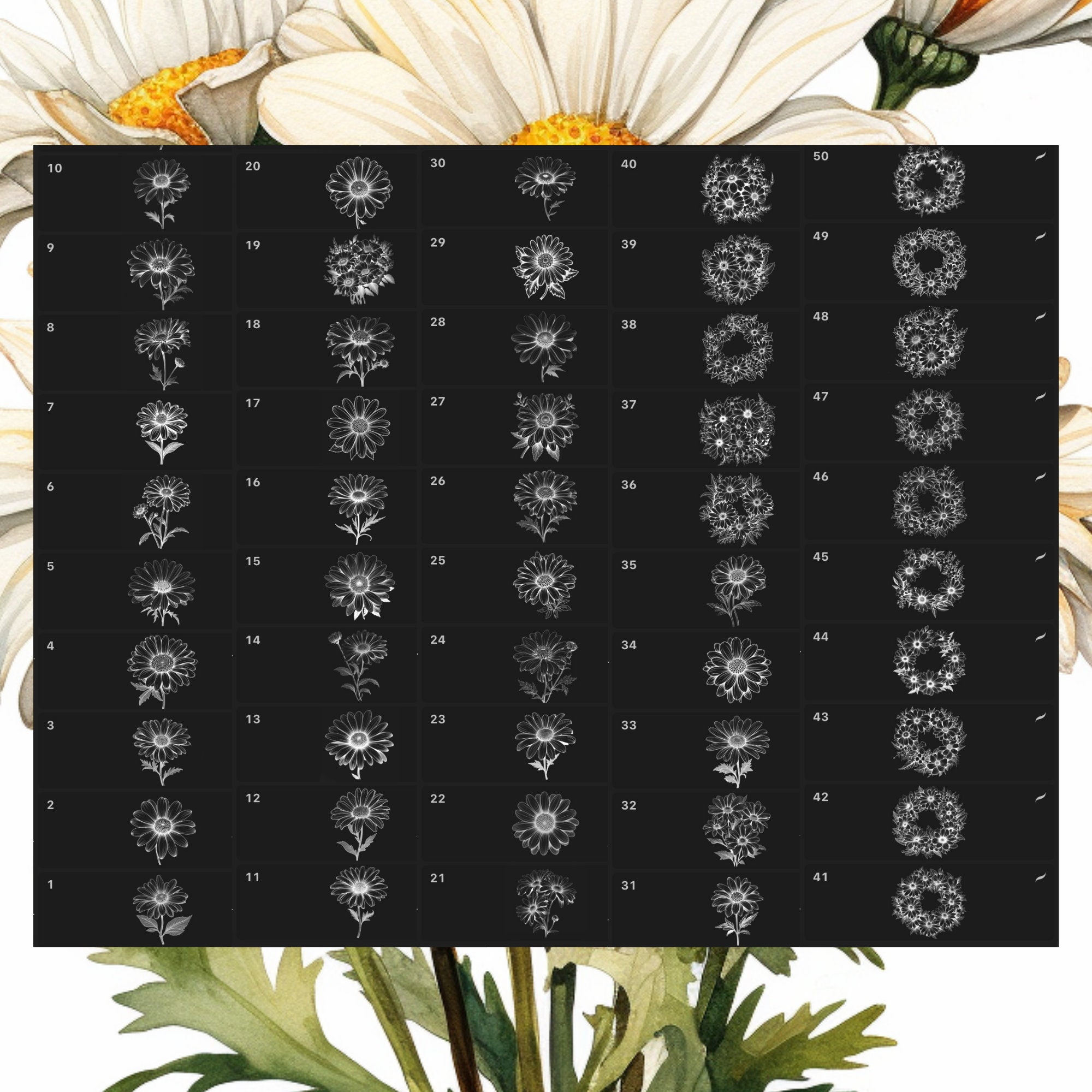 Procreate Daisy Flower Stamps 100 Daisy Flower Procreate Brushes ...