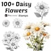 Procreate Daisy Flower Stamps | 100+ Daisy Flower Procreate Brushes ...