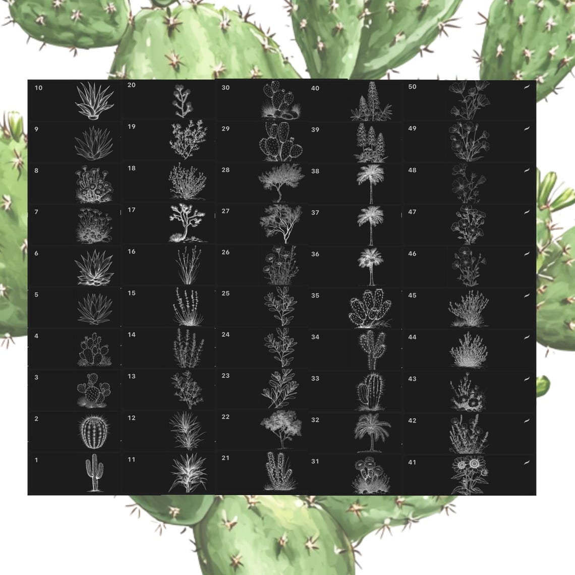 Procreate Desert Plants Stamps | 100+ Plants Procreate Brushes ...