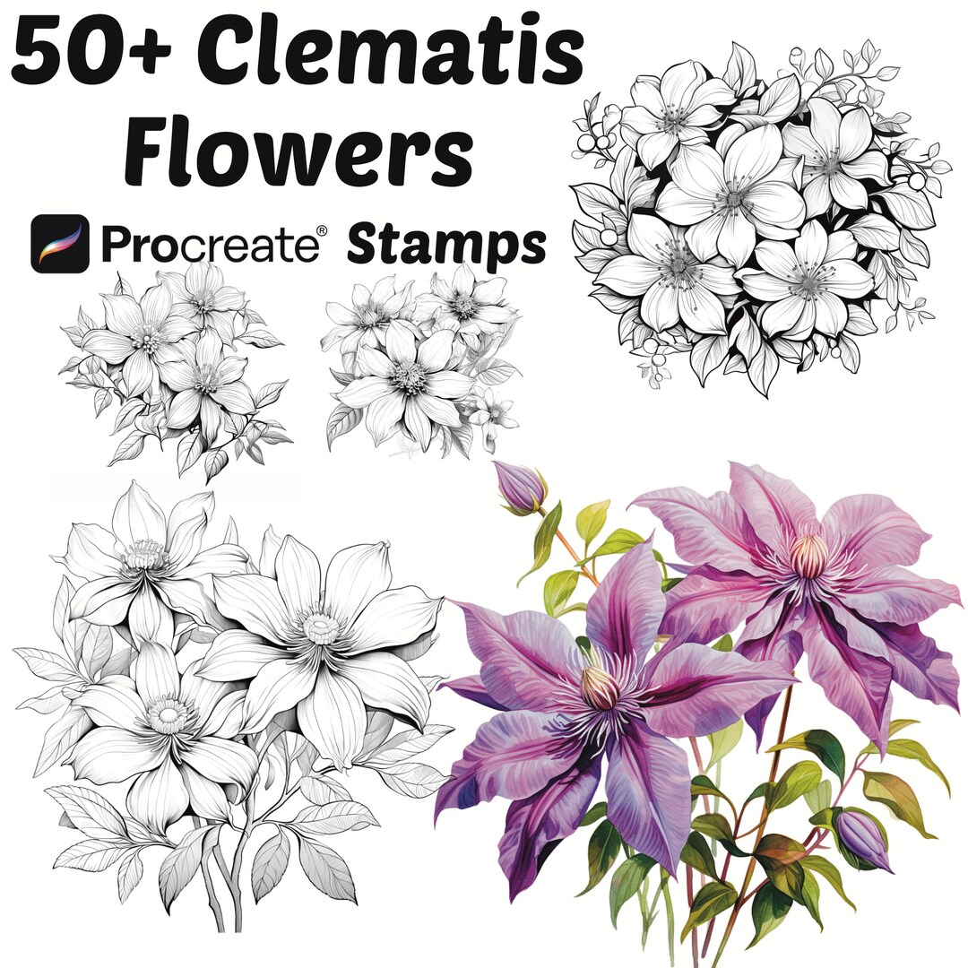 Procreate Clematis Flower Stamps | 50+ Clematis Flower Procreate Brushes | Botanical Procreate ...