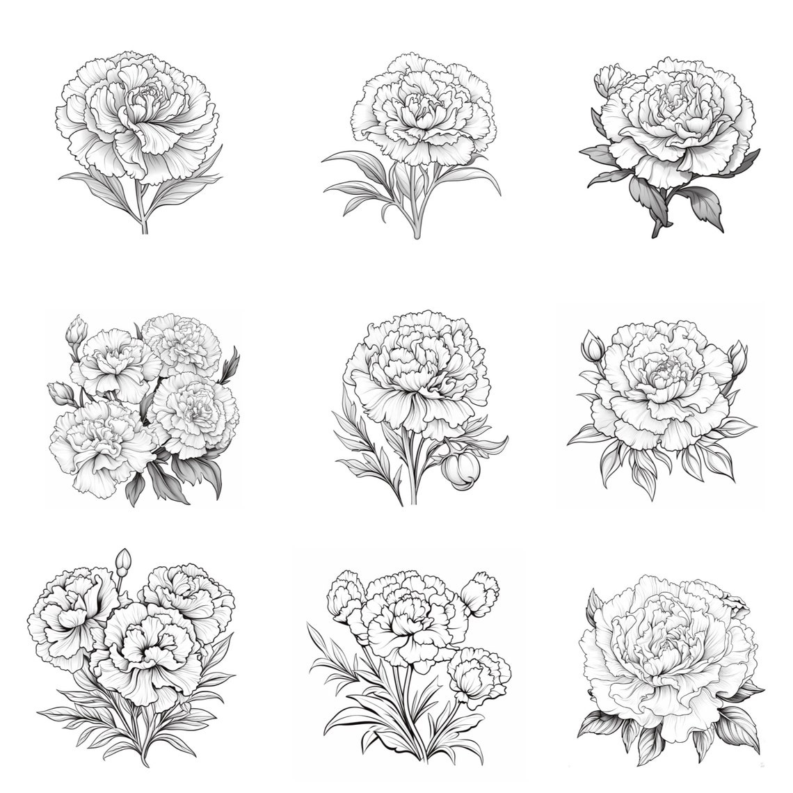 Procreate Carnation Flower Stamps 50 Carnation Flower - Etsy