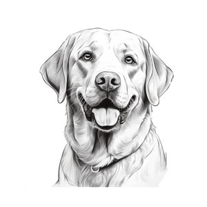 Procreate Labrador Retriever Dog Animals Stamps | 100+ Dogs Procreate ...