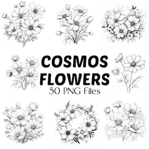 Flowers PNG | 50 Cosmos Flowers Png | Floral PNG | Wildflowers PNG ...
