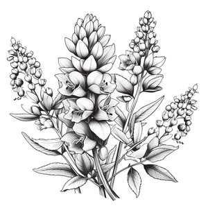 Procreate Bluebonnet Flower Stamps | 50+ Bluebonnet Flower Procreate ...