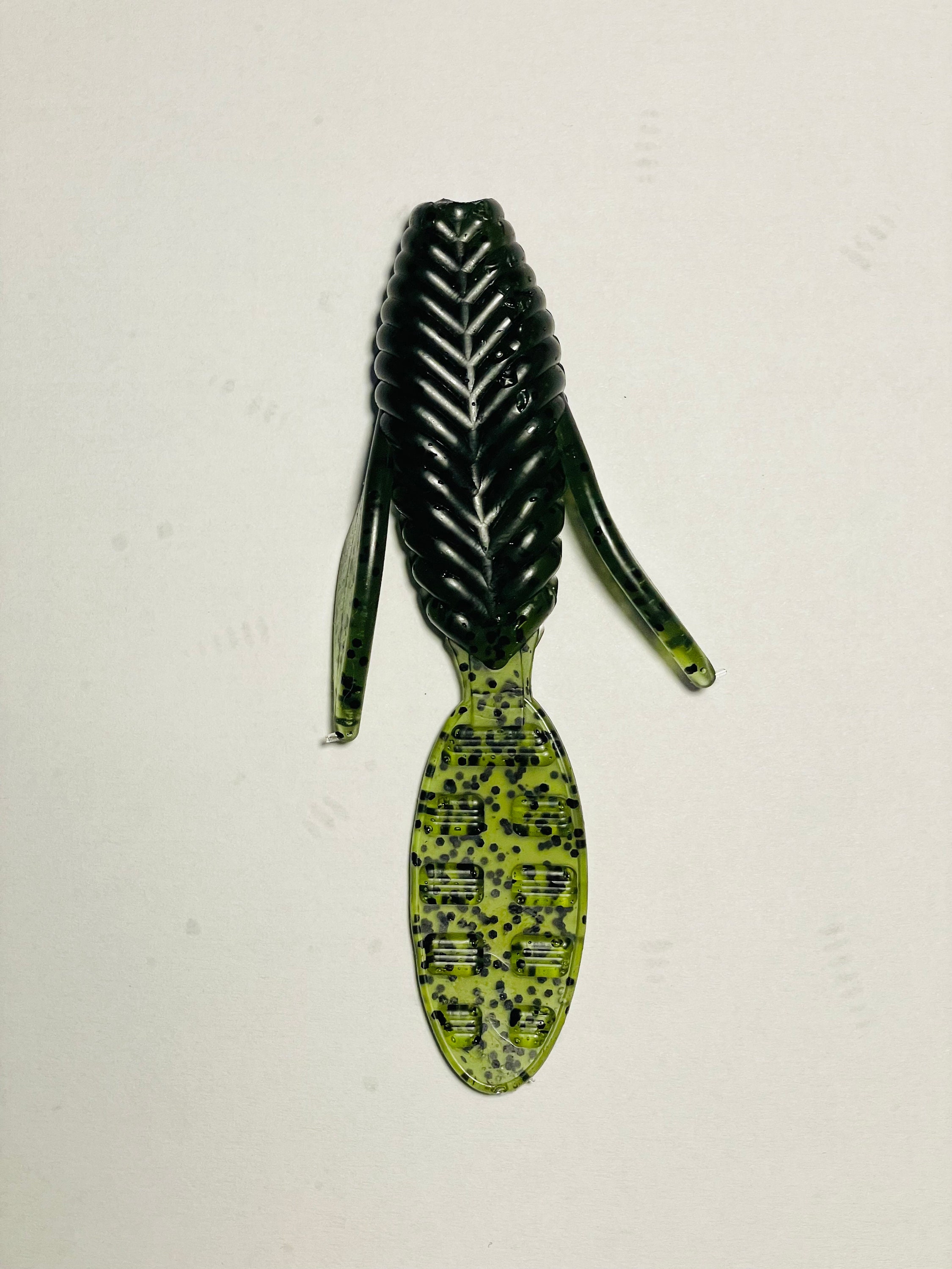 Beaver Tail Flipping Bugs 6 Pack - Etsy