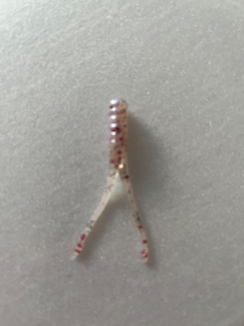 Split Tail Grub 20 Pack - Etsy