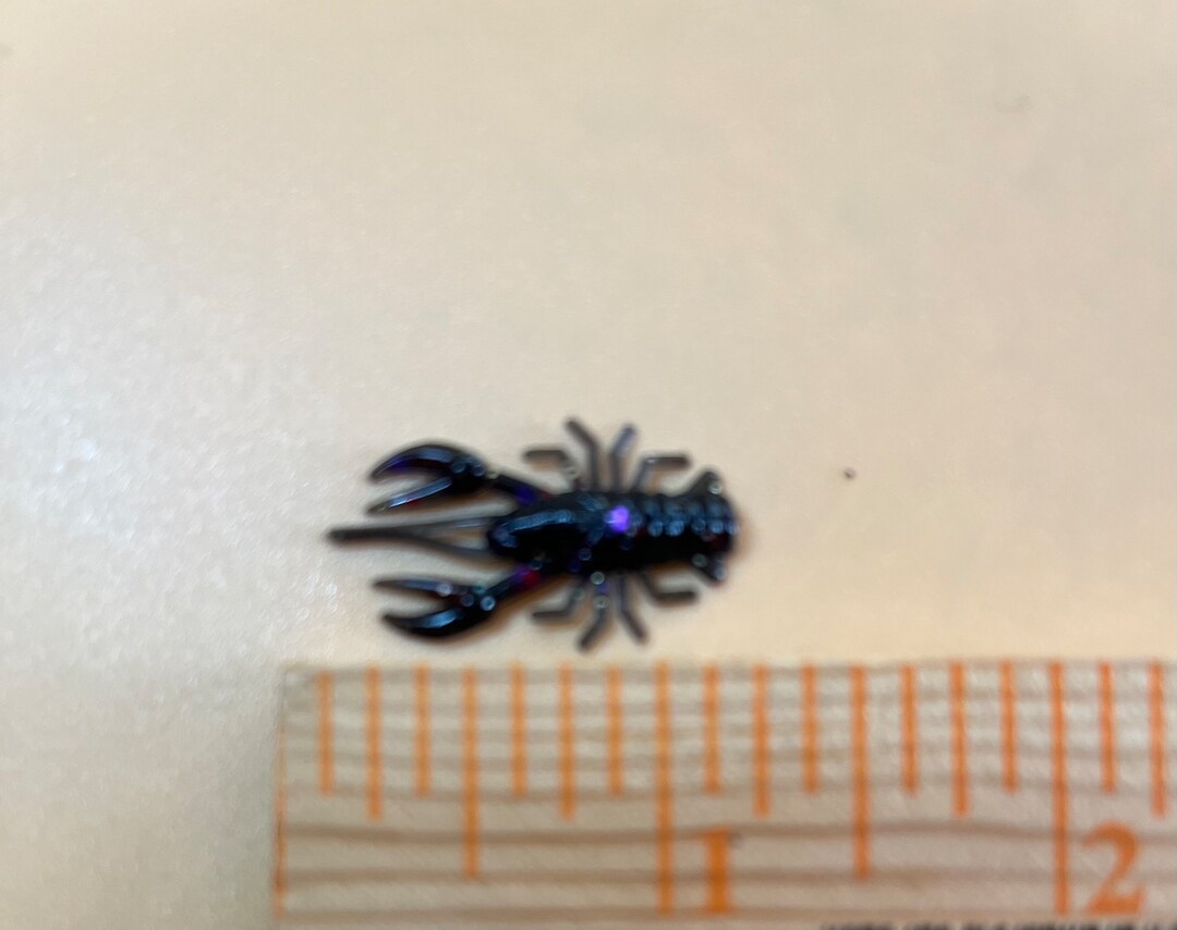 1” Micro Craw 20 Pack - Etsy