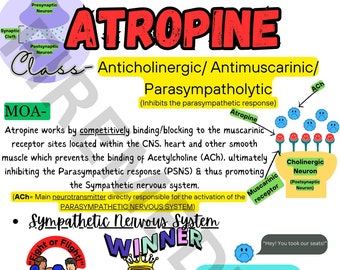 Printable Paramedic Drug Card PDF File Pharmacology for Paramedic ...
