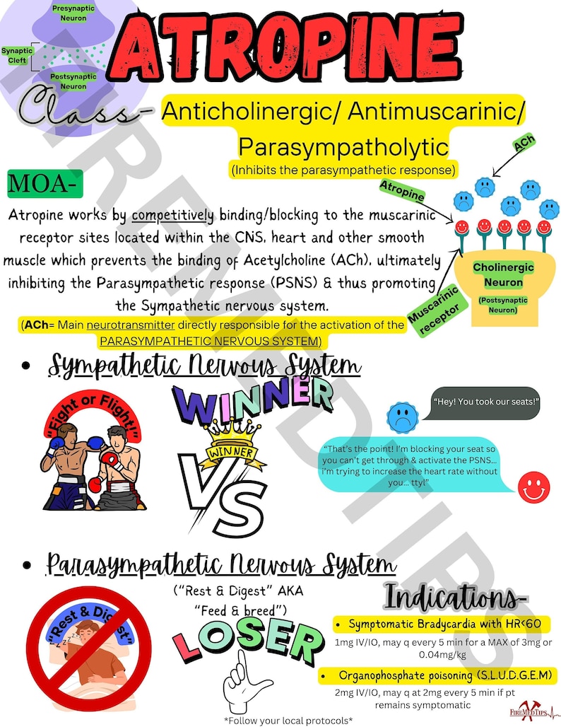 Printable Paramedic Drug Card Pdf File Pharmacology For Paramedic