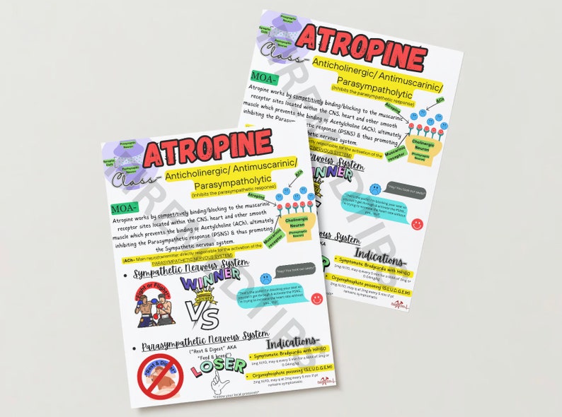 Printable Paramedic Drug Card PDF File Pharmacology for Paramedic ...