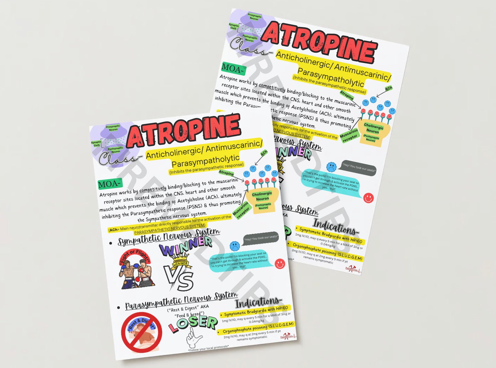 Printable Paramedic Drug Card PDF File Pharmacology for Paramedic ...