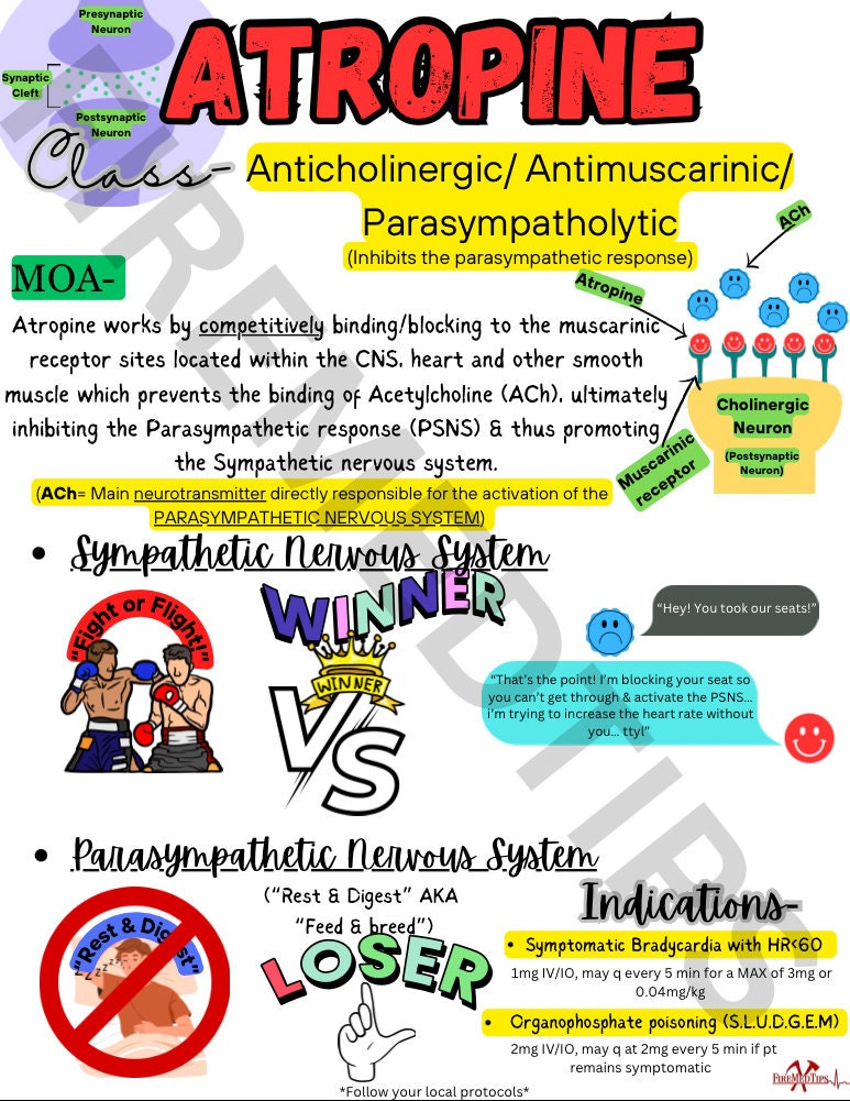 Printable Paramedic Drug Card PDF File Pharmacology for Paramedic ...