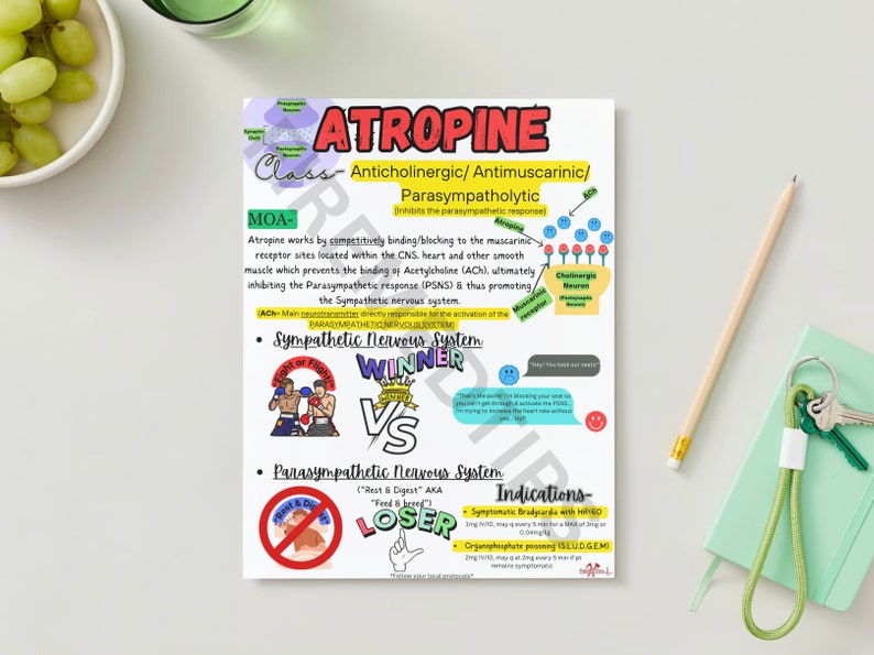 Printable Paramedic Drug Card PDF File Pharmacology for Paramedic ...