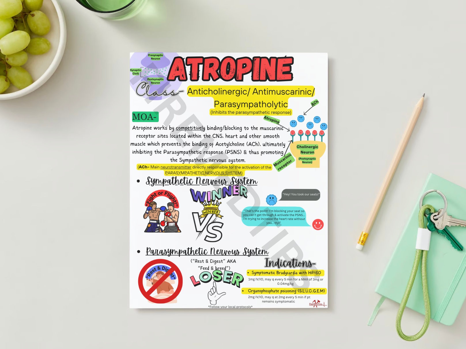 Printable Paramedic Drug Card PDF File Pharmacology for Paramedic ...