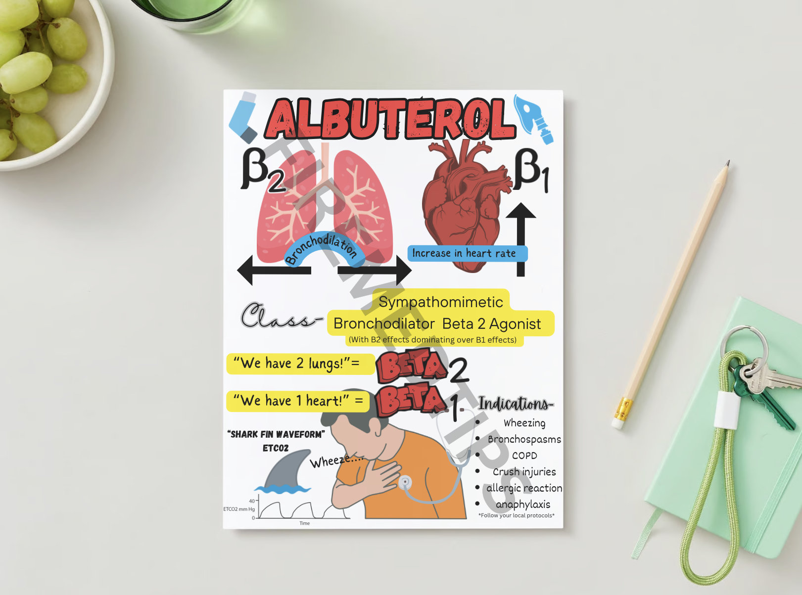 Printable Paramedic Drug Card PDF File Pharmacology for Paramedic ...