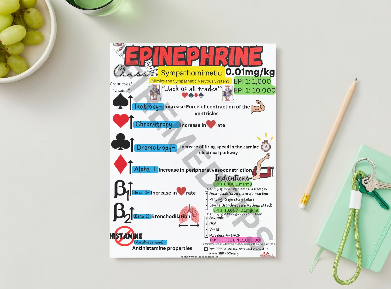 Printable Paramedic Drug Card PDF File Pharmacology for Paramedic ...