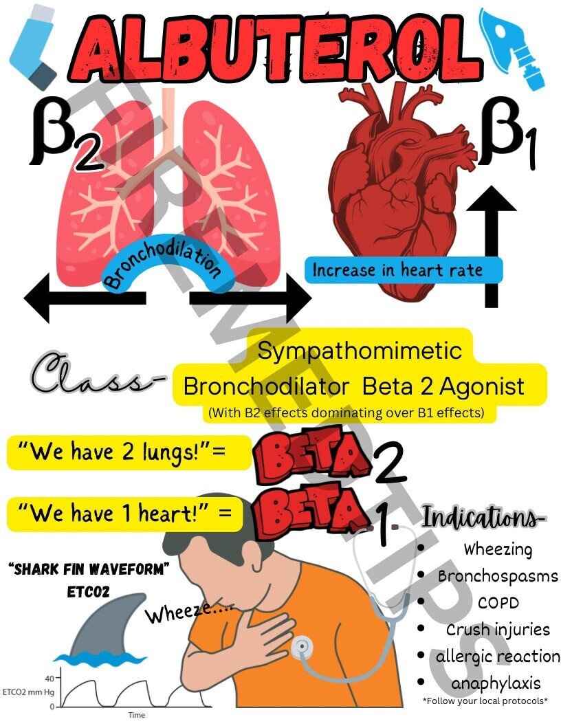 Printable Paramedic Drug Card PDF File Pharmacology for Paramedic ...