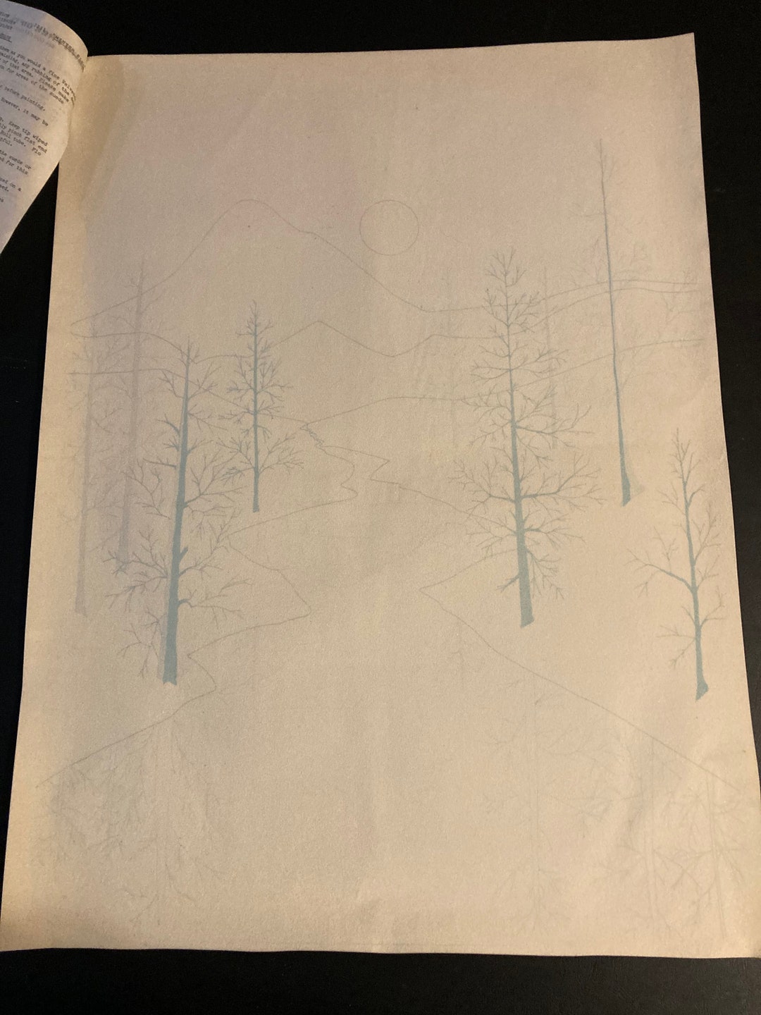 Vintage Tri Chem Winter Elegance Preshaded 24x18 Picture Printed and ...