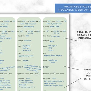 Dietitian Nutrition Assessment Note Template - Printable & Editable ...