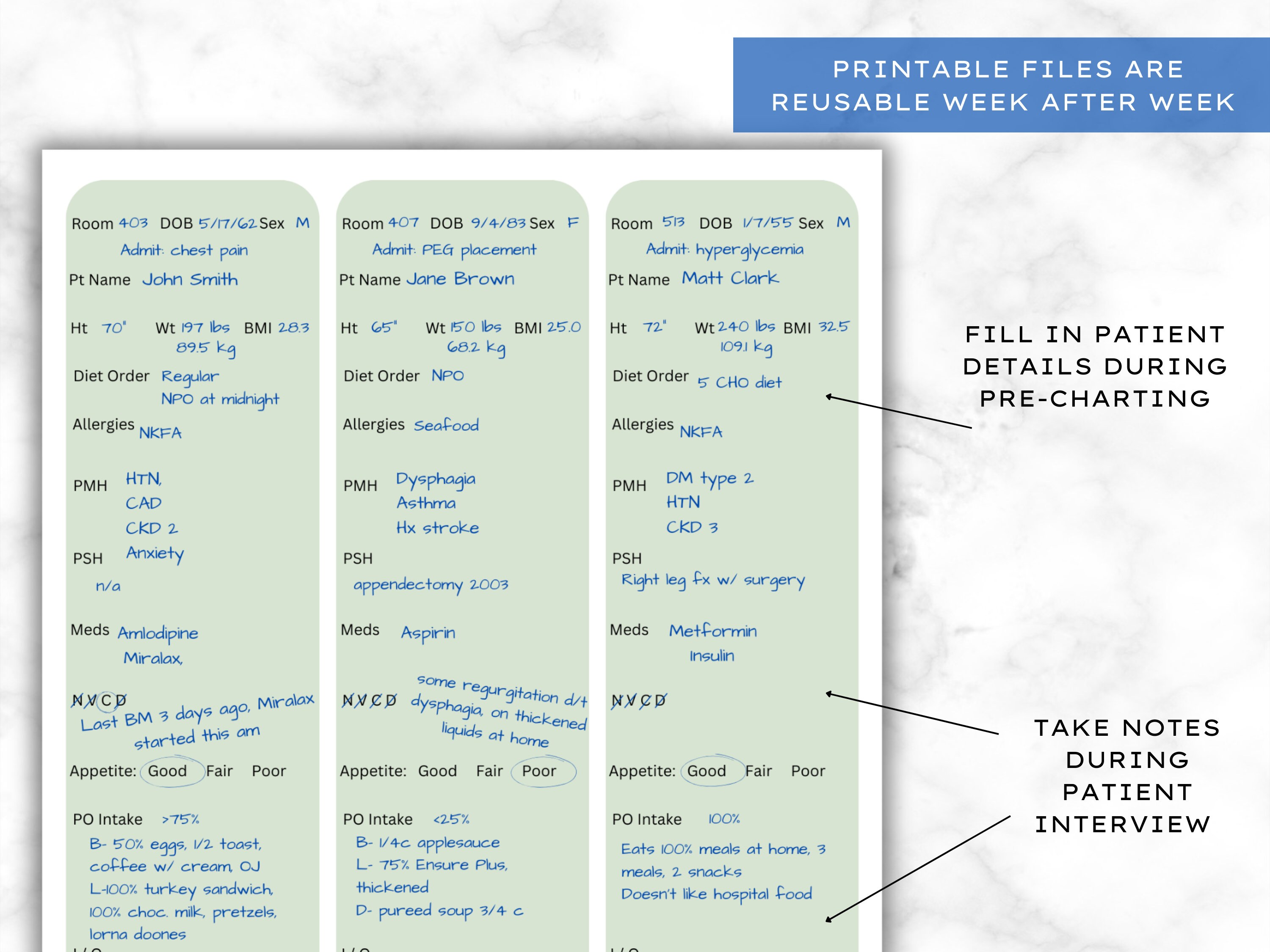 Dietitian Nutrition Assessment Note Template - Printable & Editable ...