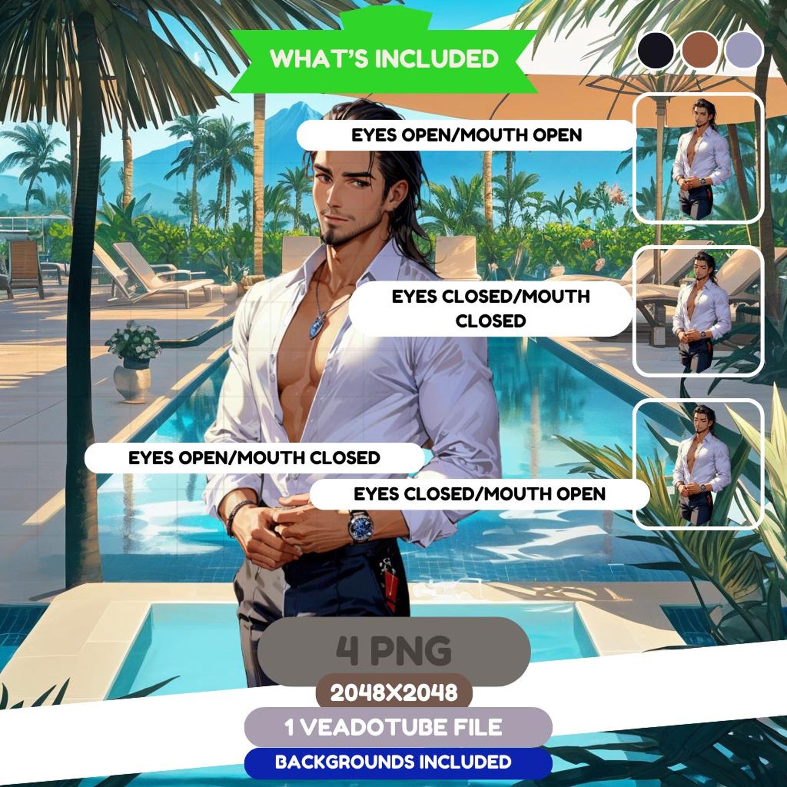 Custom Pngtuber Male Model: Veadotube Ready (digital Download) - Etsy