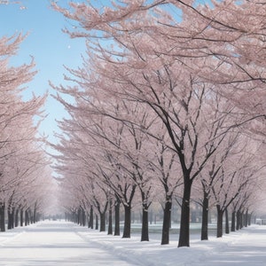 Professional Virtual Backgrounds for Zoom Zoom Call Scenery - Etsy