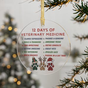 Veterinary Medicine Christmas Ornament: Vet Tech Gift - Etsy