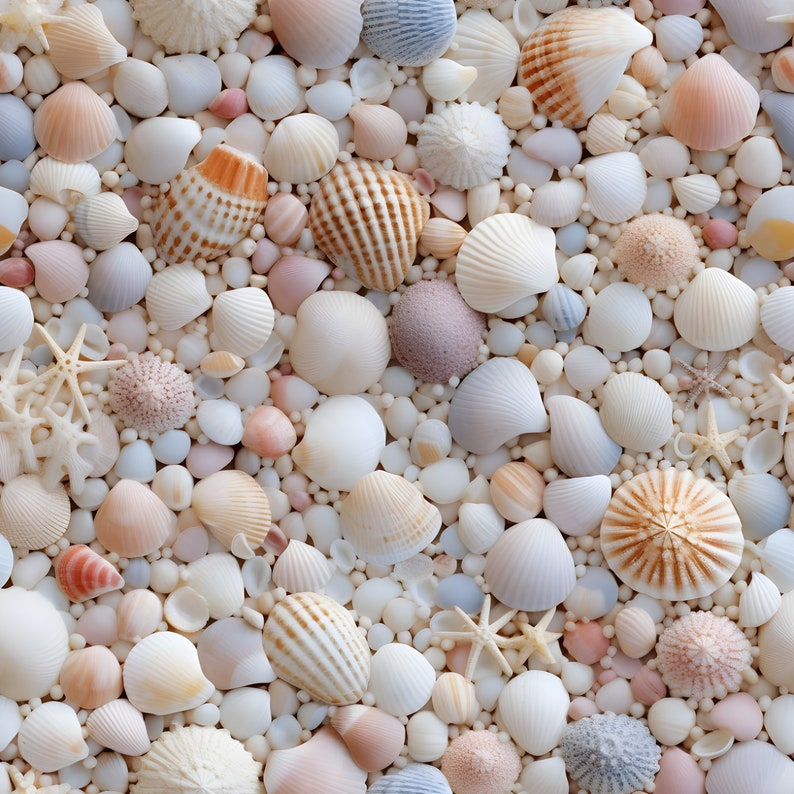 Seashell Serenity Digital Prints Collection - Etsy