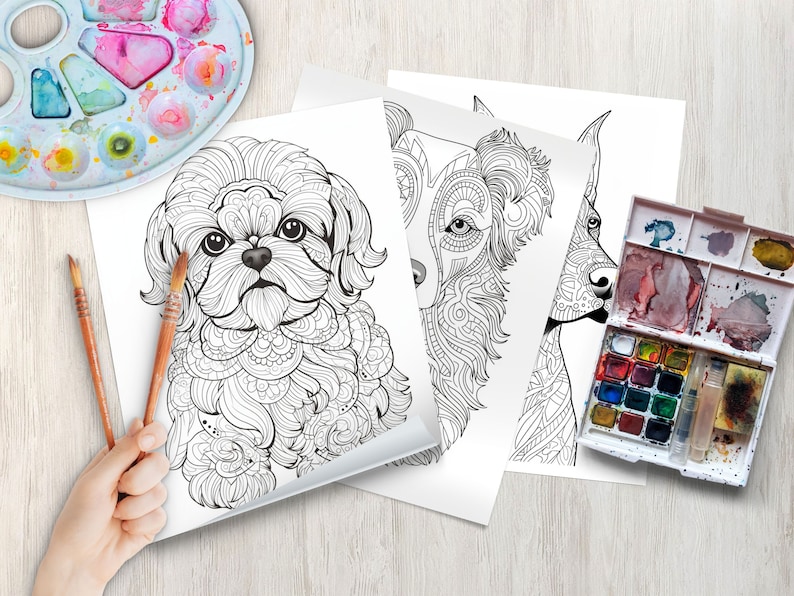 Mindfulness Mandala Coloring Book for Adults Printable PDF Download ...