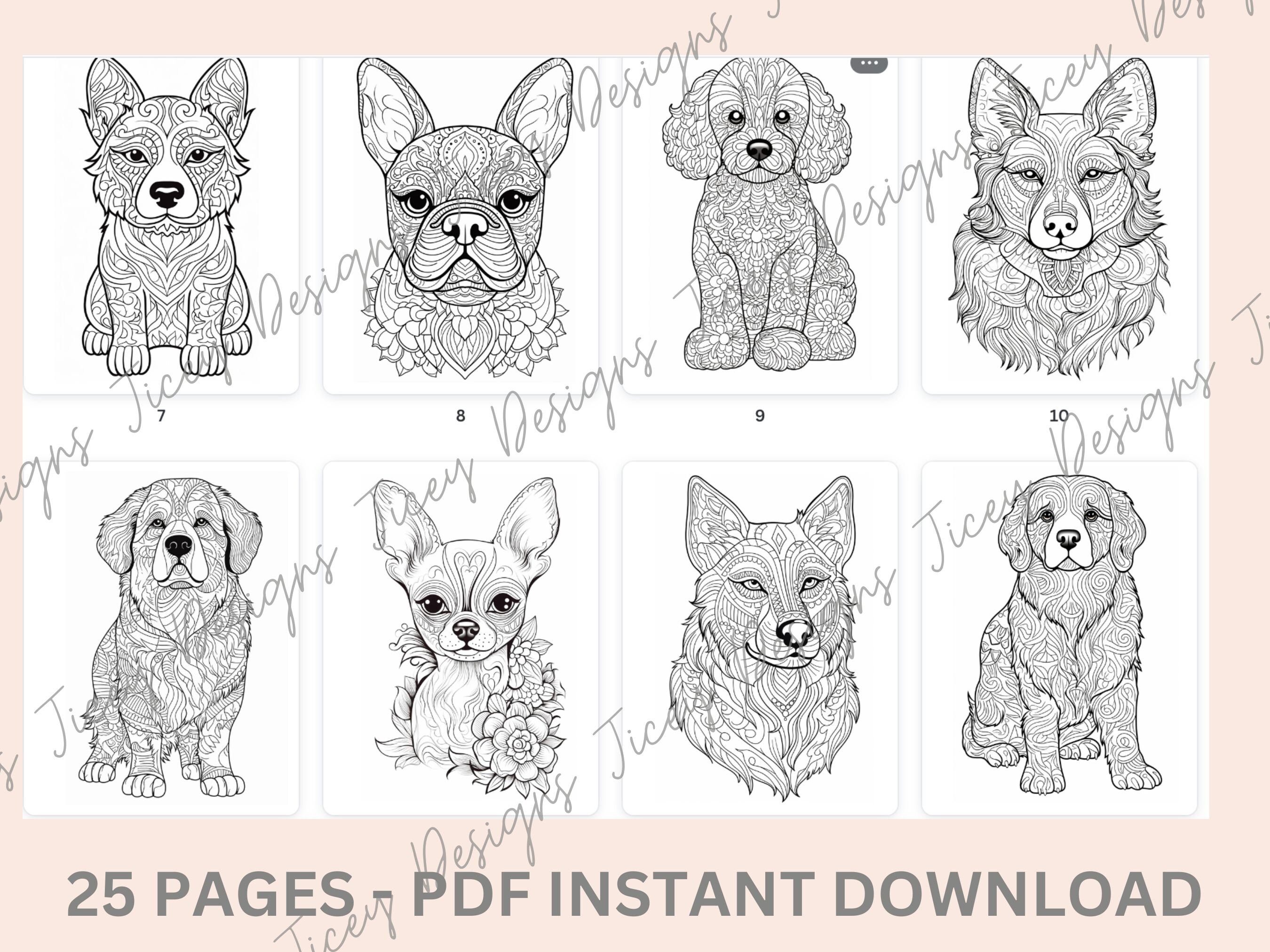 Mindfulness Mandala Coloring Book for Adults Printable PDF Download ...