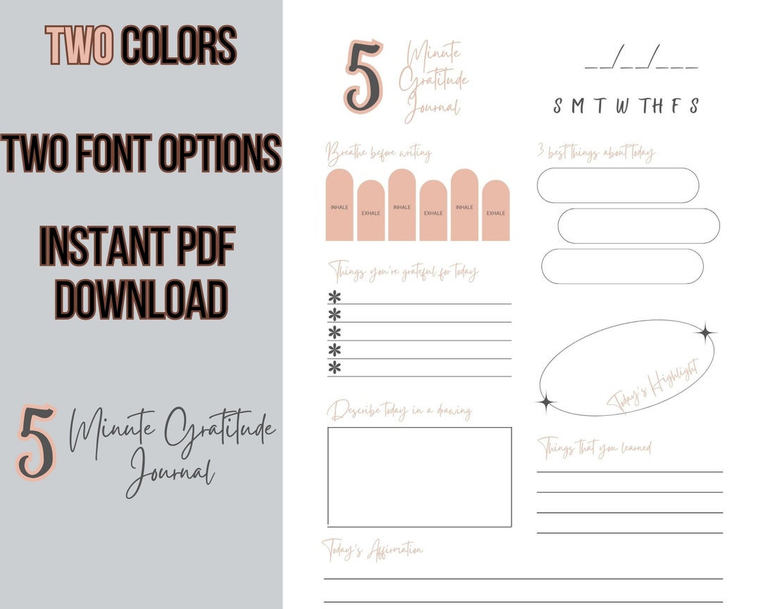 Five Minute Gratitude Journal Reflection Sheet Instant PDF Download ...