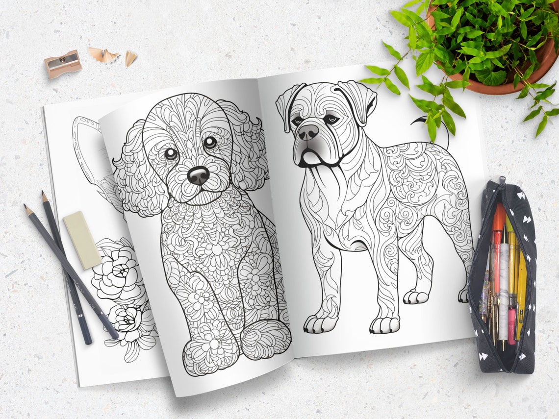 Mindfulness Mandala Coloring Book for Adults Printable PDF Download ...