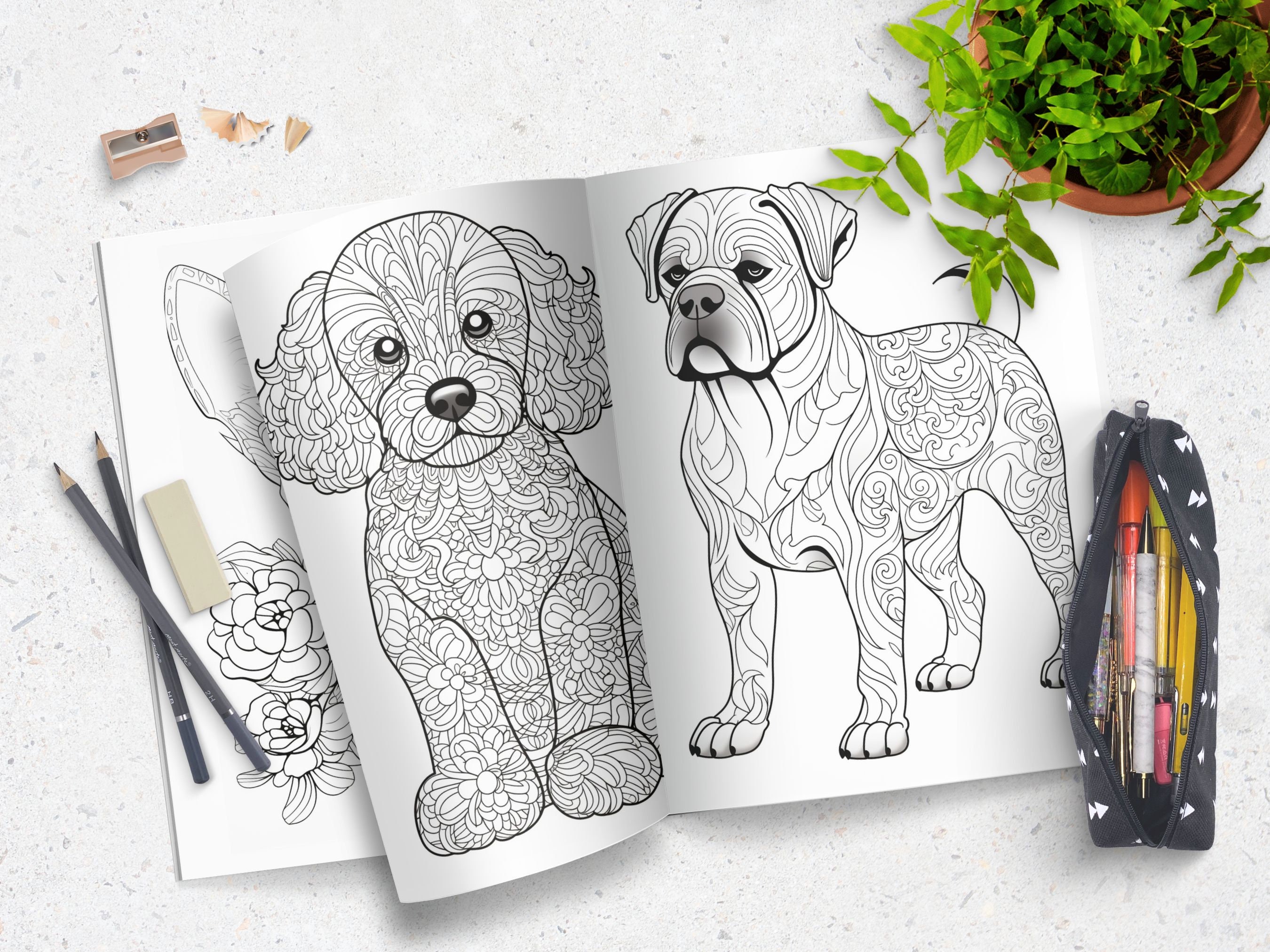 Mindfulness Mandala Coloring Book for Adults Printable PDF Download ...