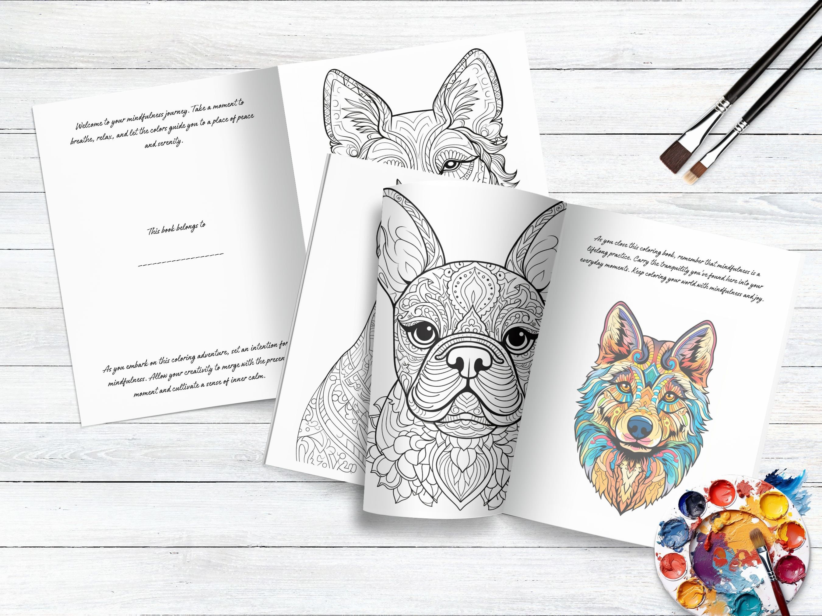 Mindfulness Mandala Coloring Book for Adults Printable PDF Download ...