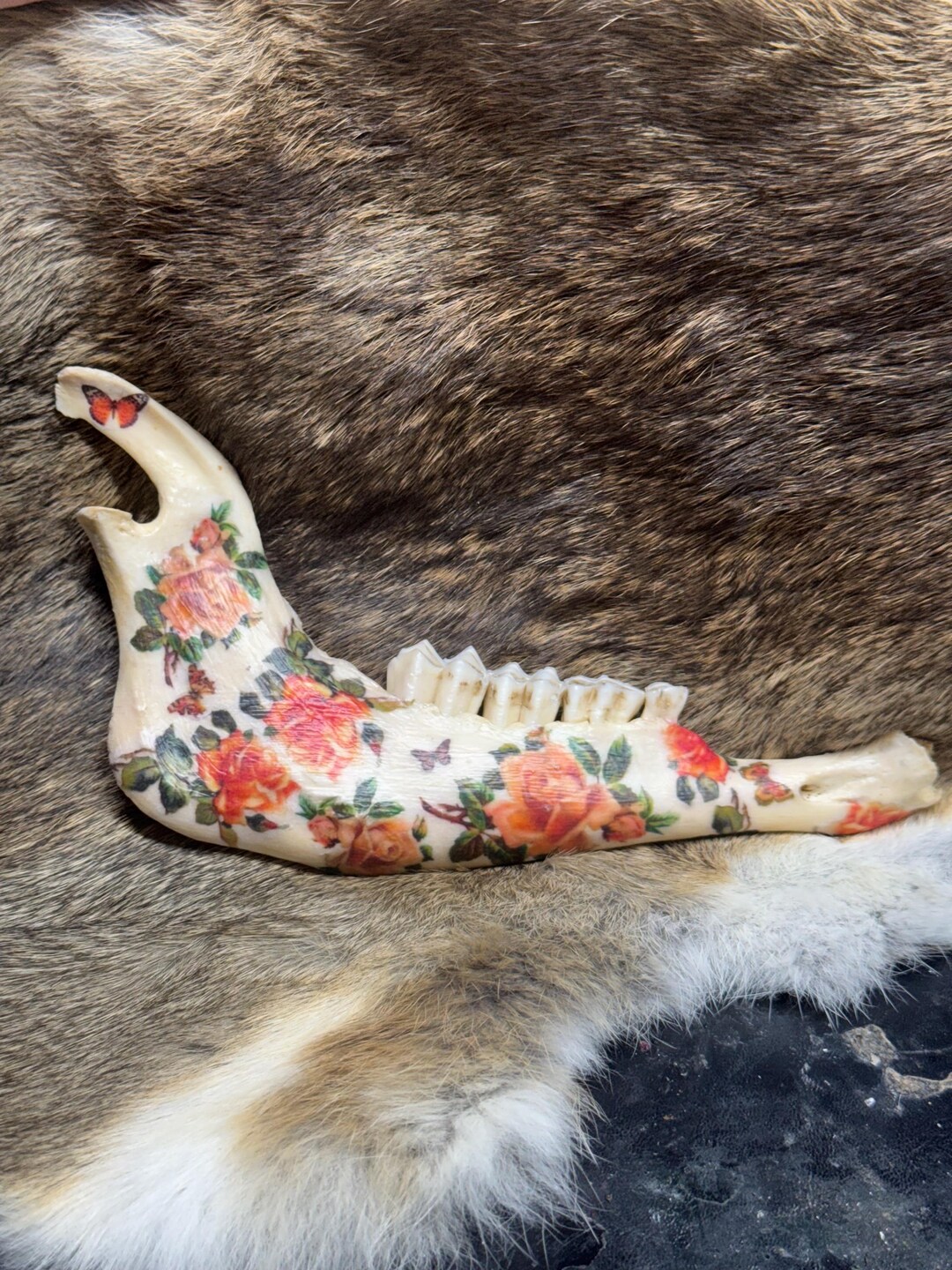 Orange Floral Decorated Goat Jaw - Etsy