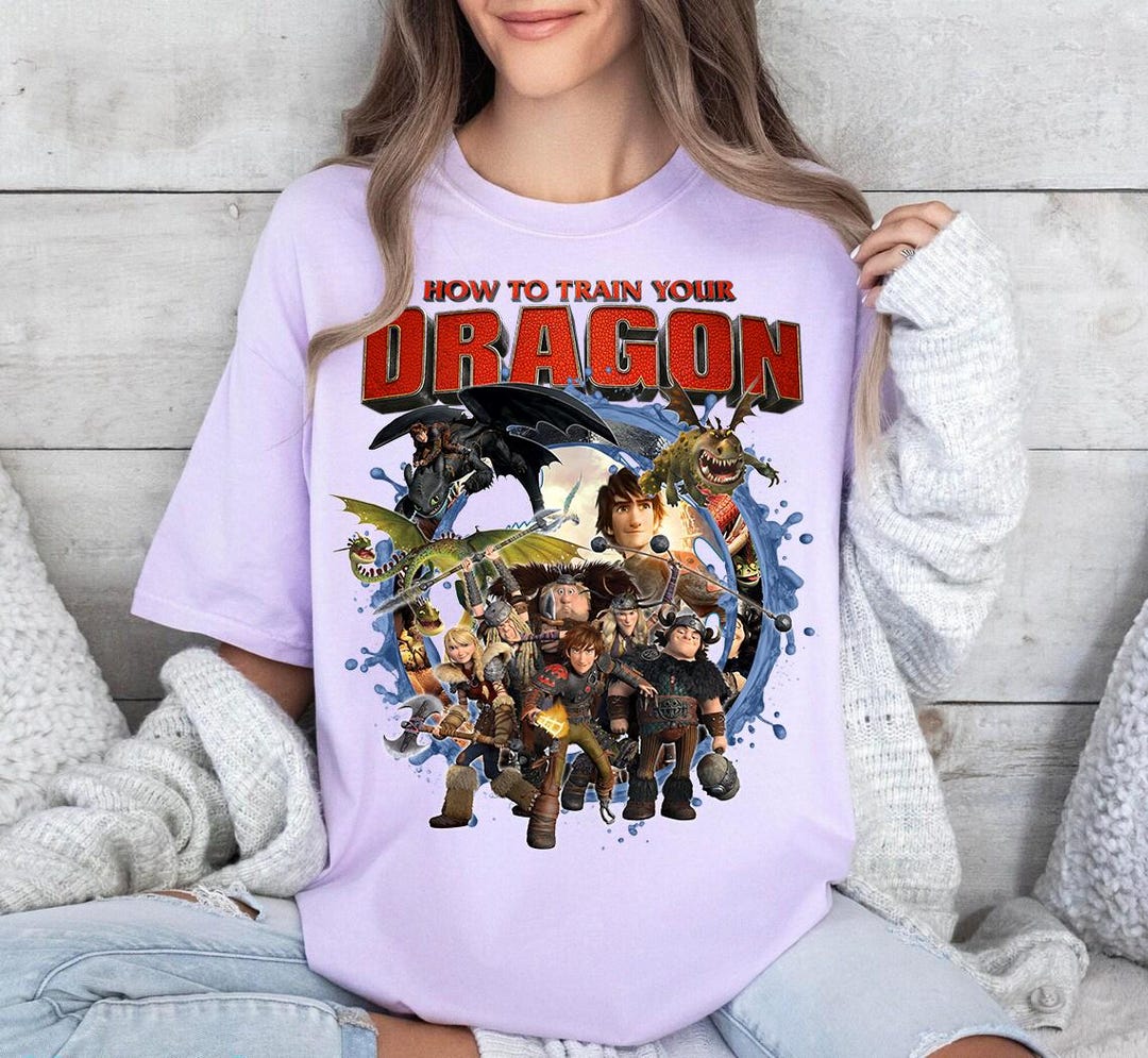 Disney Pixar How to Train Your Dragon Vikings Hiccup Toothless Tee ...