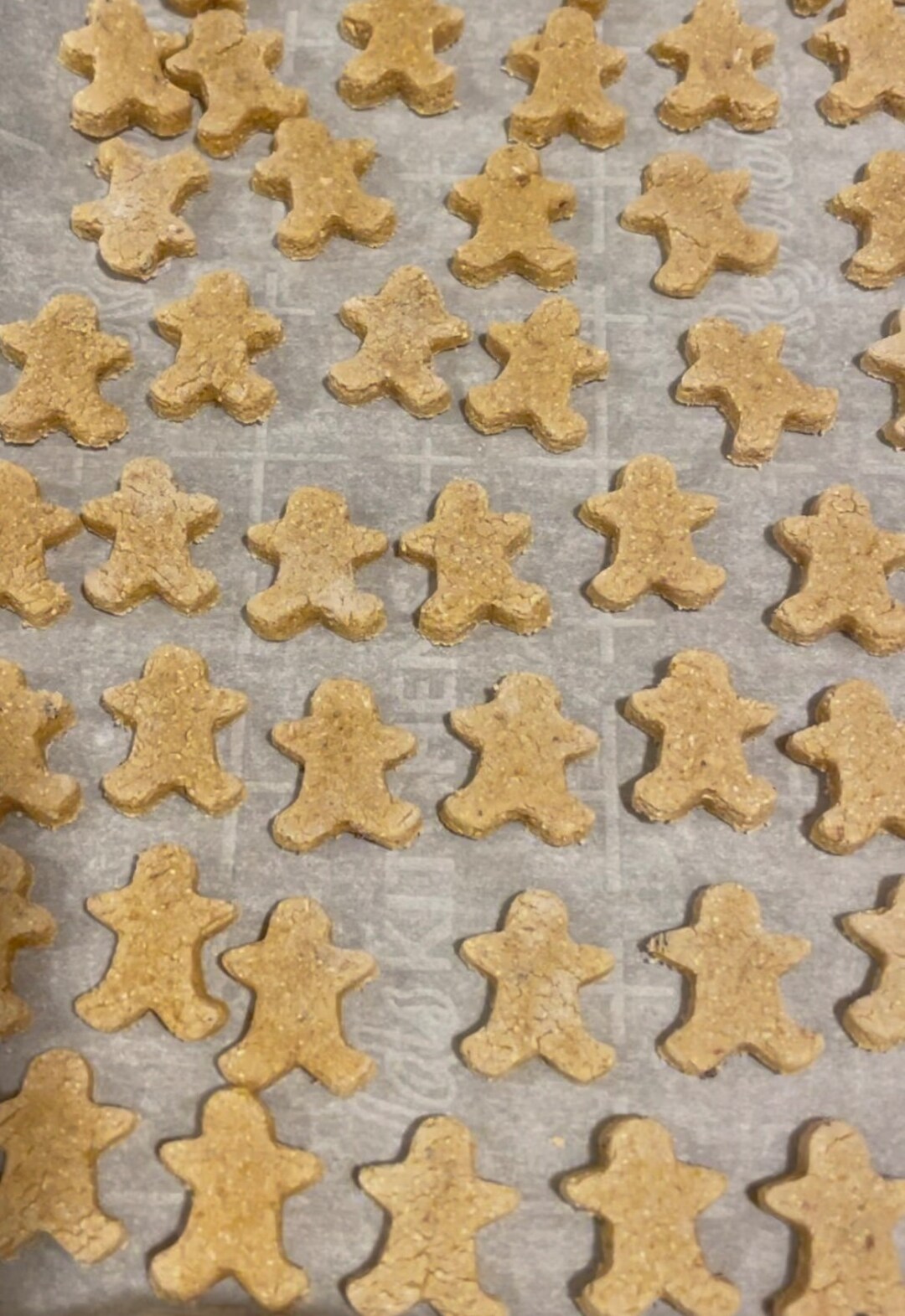 Gingerbread Man Cat Treats Homemade Chicken - Etsy