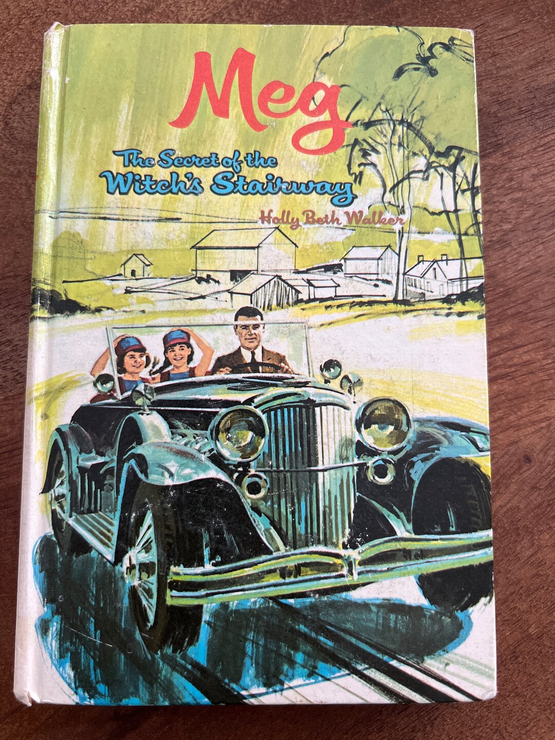 Meg and the Secret of the Witch's Staircase by Holly Beth Walker ...