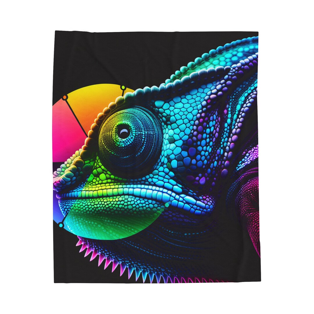 Chameleon Spectrum Focus Plush Blanket - Etsy