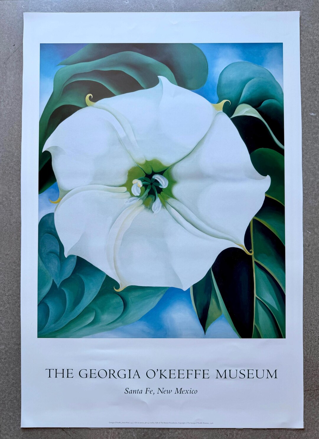 90s Georgia O'keeffe Museum Exhibition Print Poster Jimson Weed 1932 - Etsy