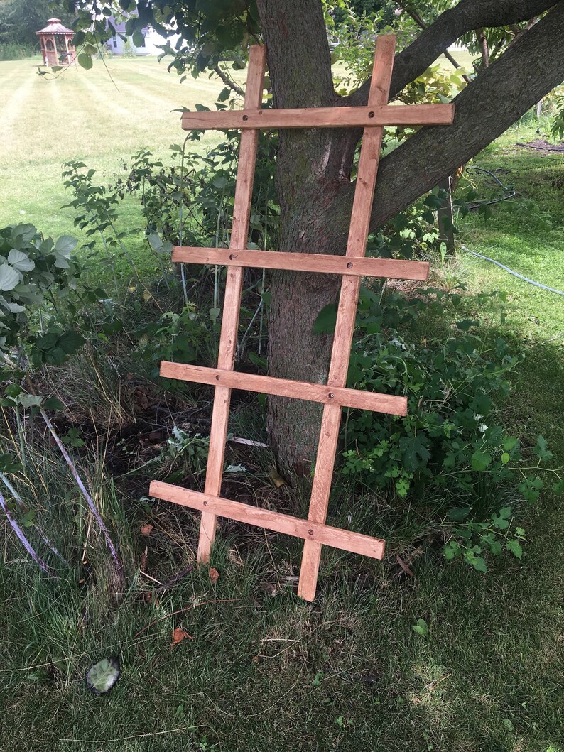 Garden Trellis Climbing Plant and Vine Support Made of Weather ...