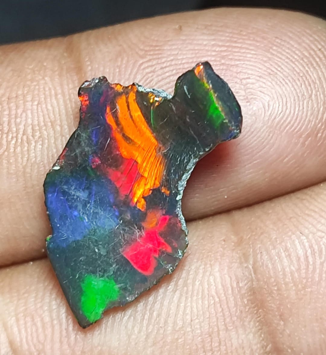 AAA Quality Rough Black Ethiopian Opal, Welo Rainbow Fire Black Opal ...