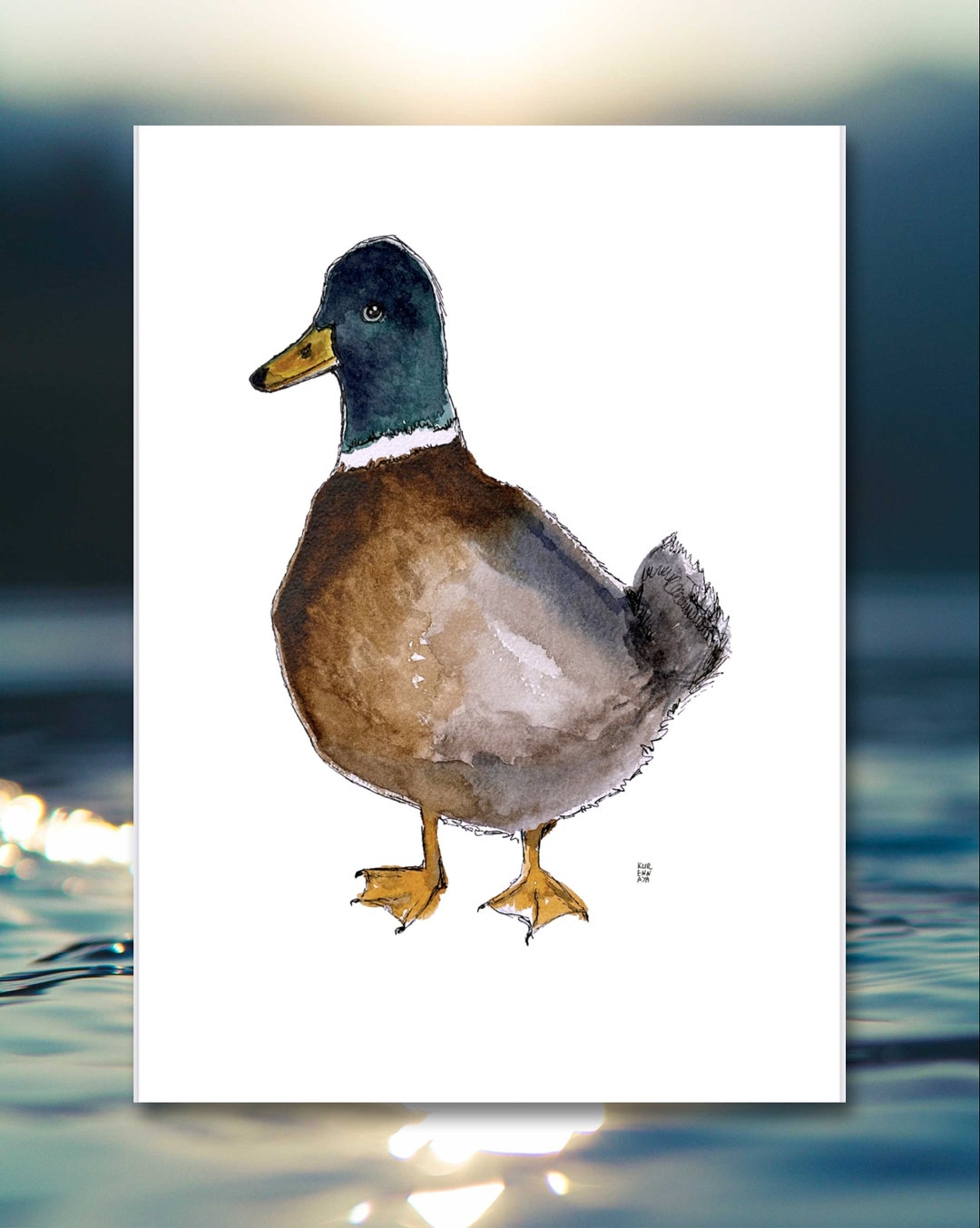 Drake Mallard Duck Watercolor Print PDF File Digital Download - Etsy