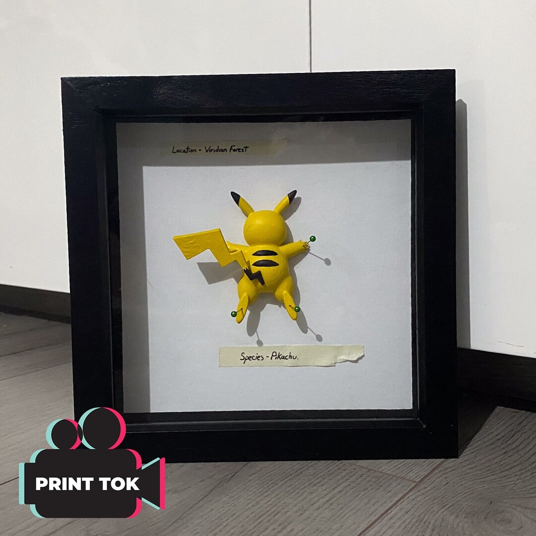 Pikachu Taxidermy Shadow Box - Etsy