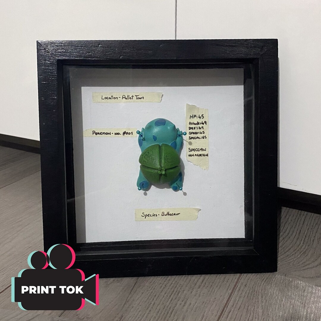 Bulbasaur Pokemon Taxidermy Shadow Box - Etsy